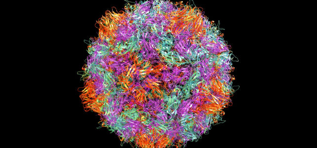 Global Outbreak Update: Regional outbreak of circulating vaccine ...