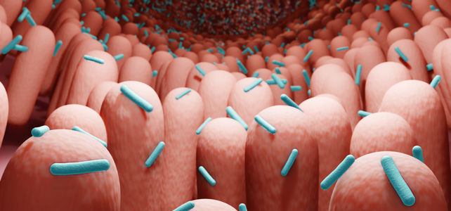 The cancer microbiome: Bacteria and cell interactions prove interesting ...